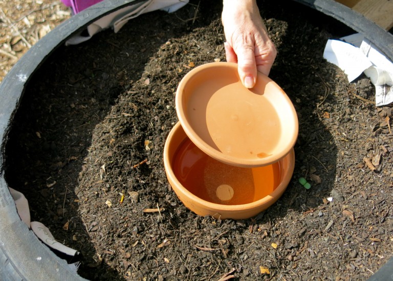 Clay pot irrigation – Yet Another Unitarian Universalist