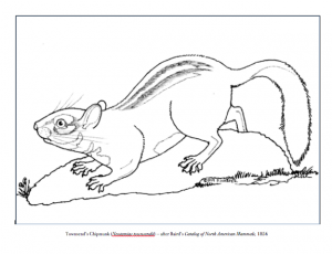 Coloring pages – Yet Another Unitarian Universalist