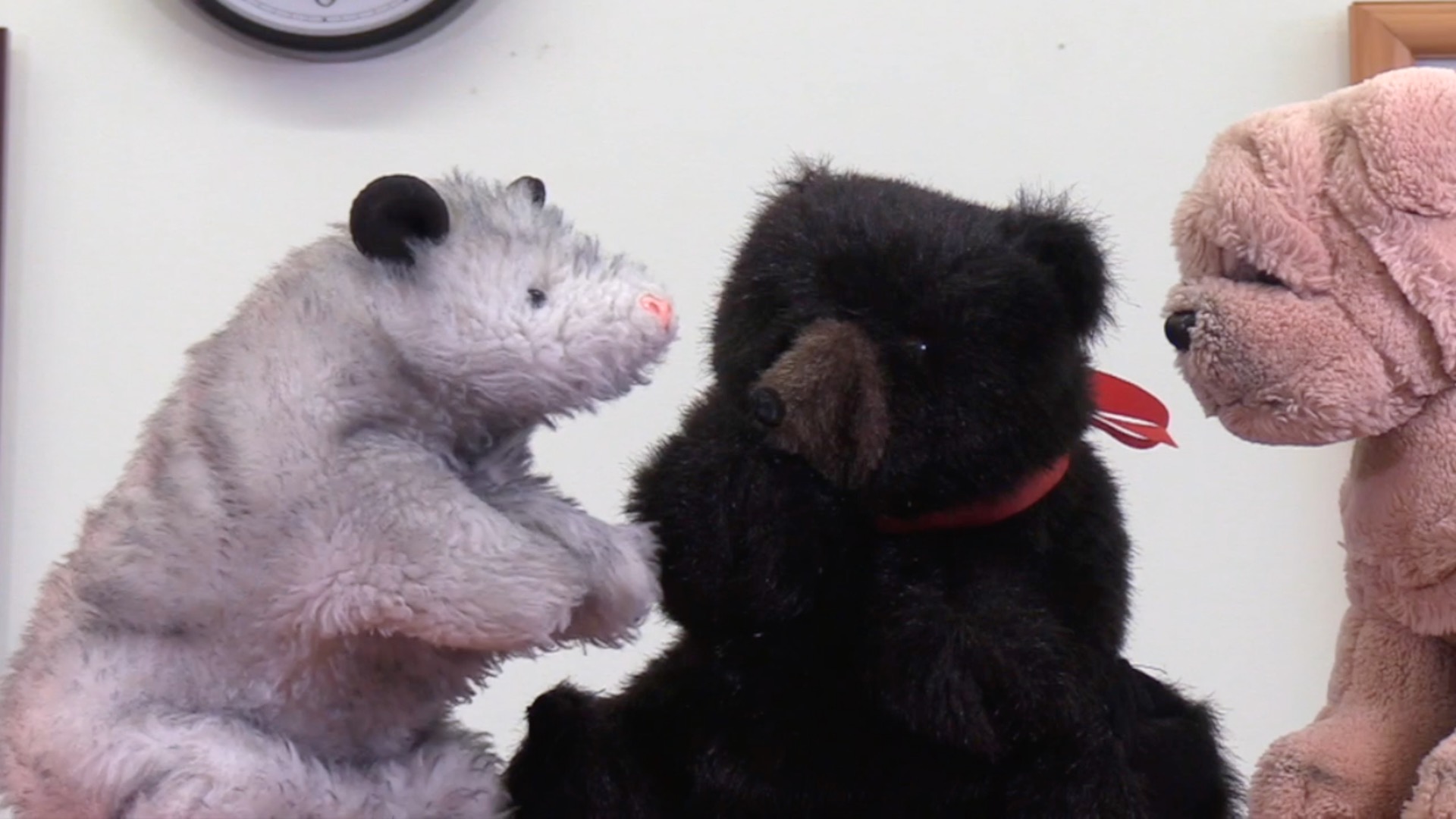 Possum is stressed, part one – Yet Another Unitarian Universalist