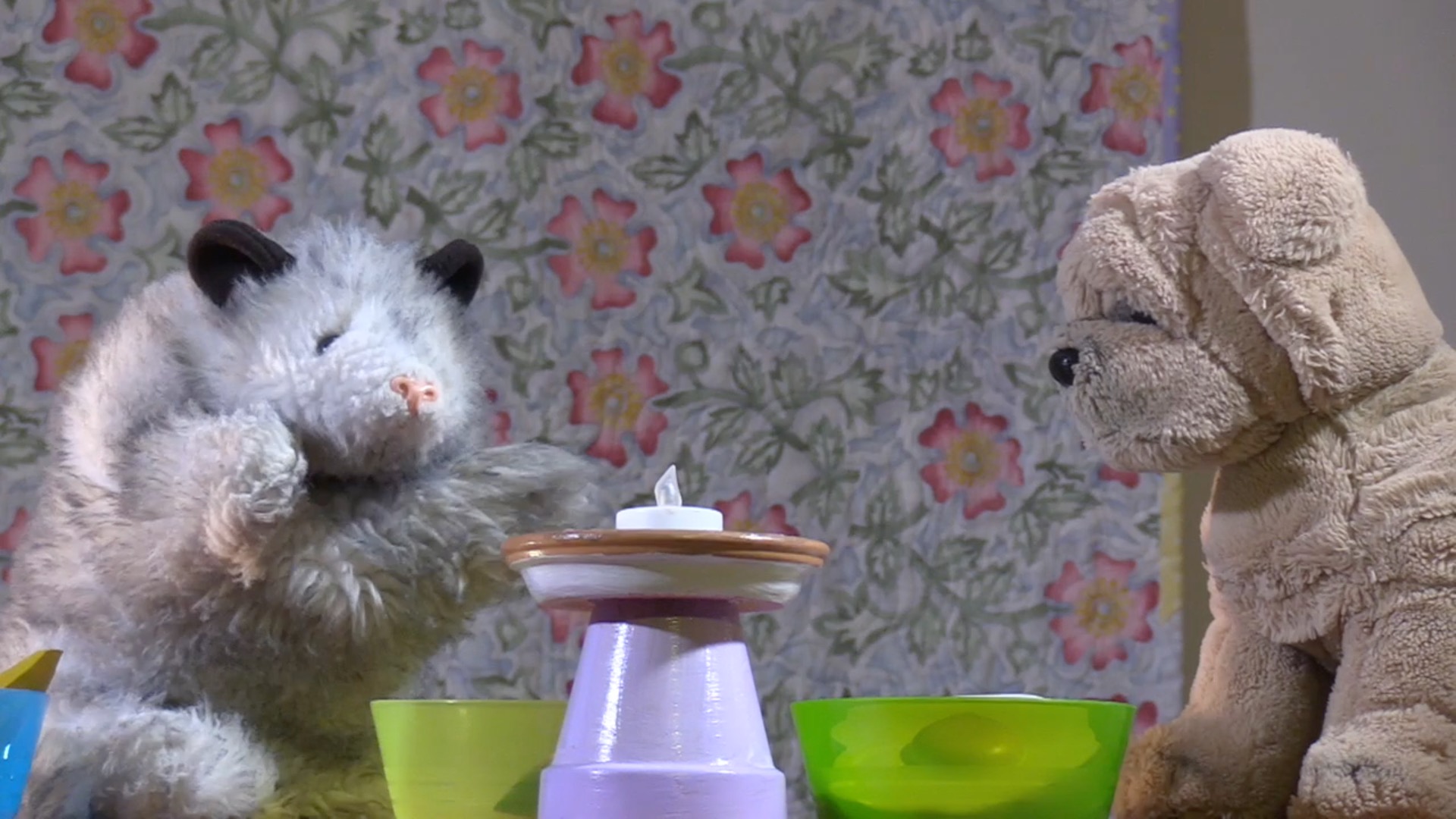 Possum is working on reducing his stress – Yet Another Unitarian ...