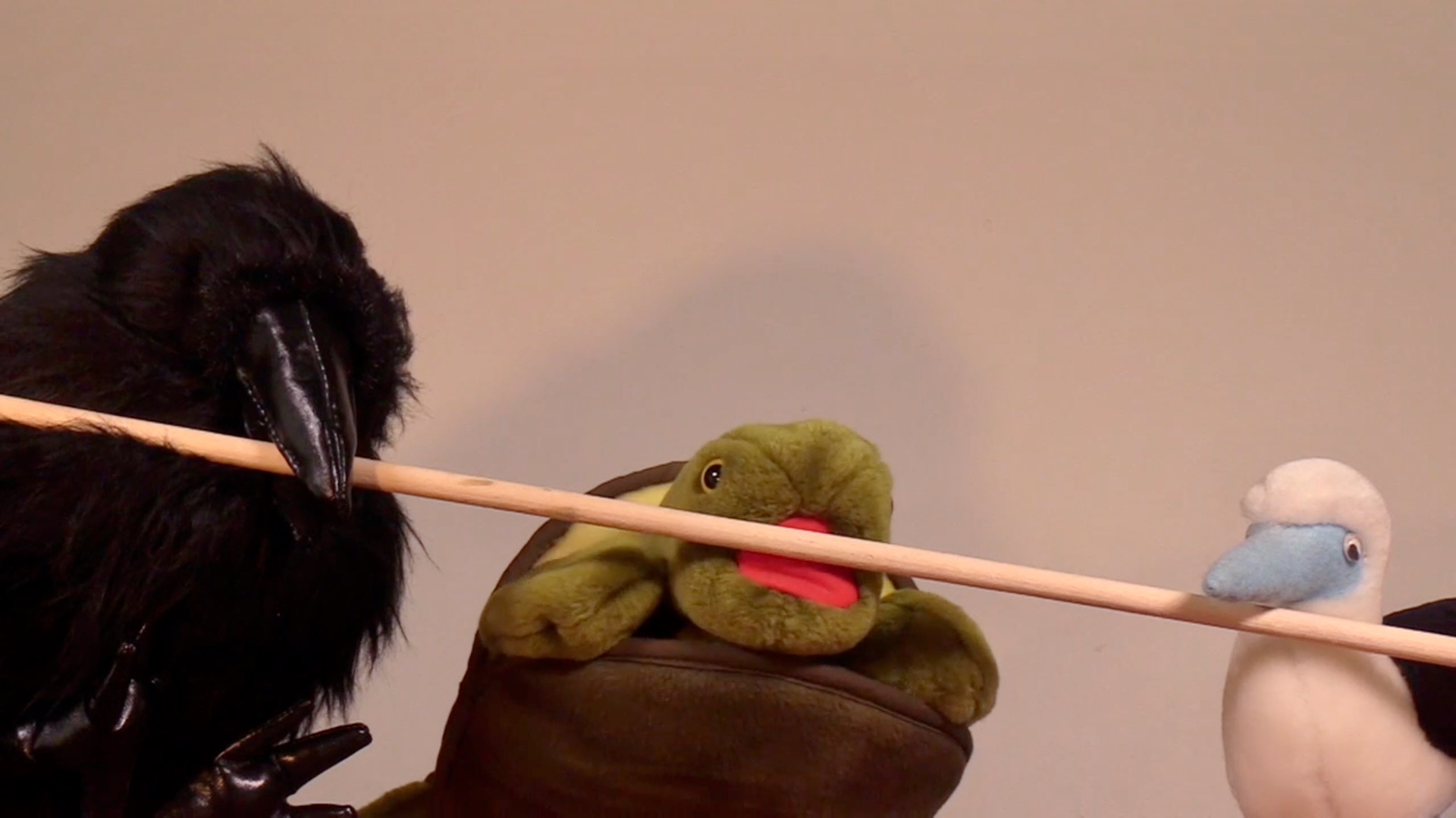 The Turtle and the Geese – Yet Another Unitarian Universalist