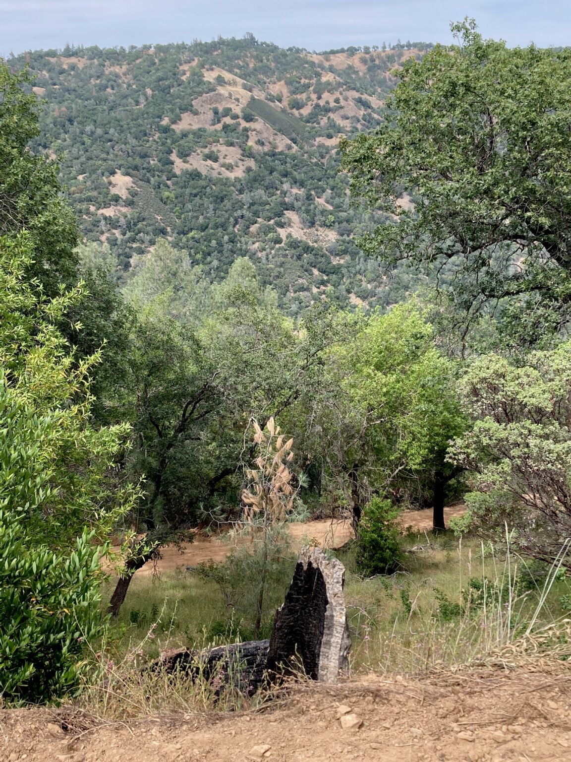 Coe State Park HQ to Two Oaks – Yet Another Unitarian Universalist