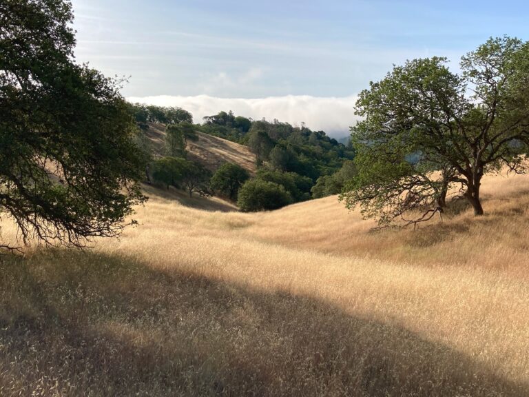 Yet Another Unitarian Universalist – A postmodern heretic's spiritual ...