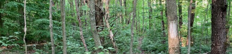 Yet Another Unitarian Universalist – A postmodern heretic's spiritual ...