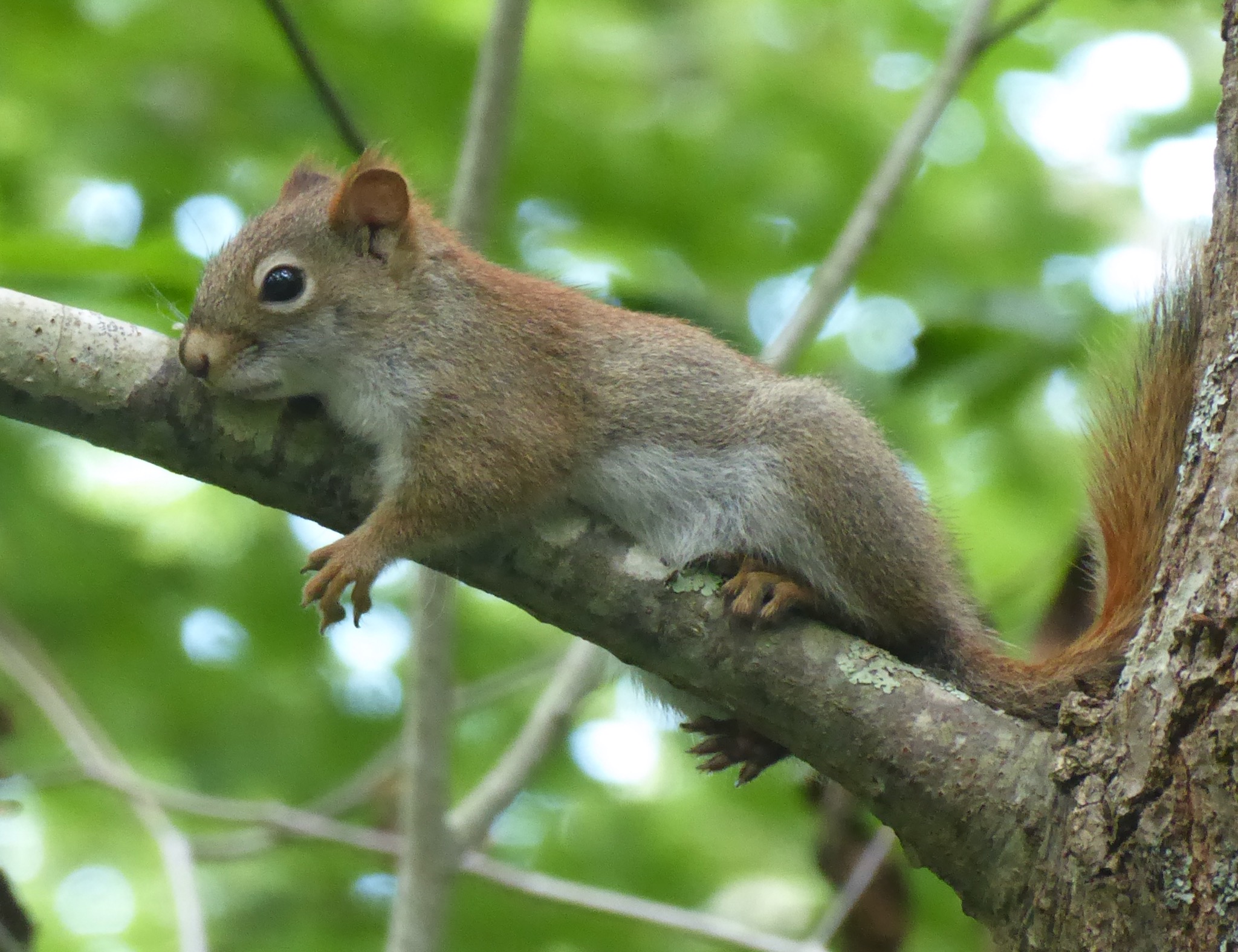 Yet Another Unitarian Universalist – A postmodern heretic's spiritual ...