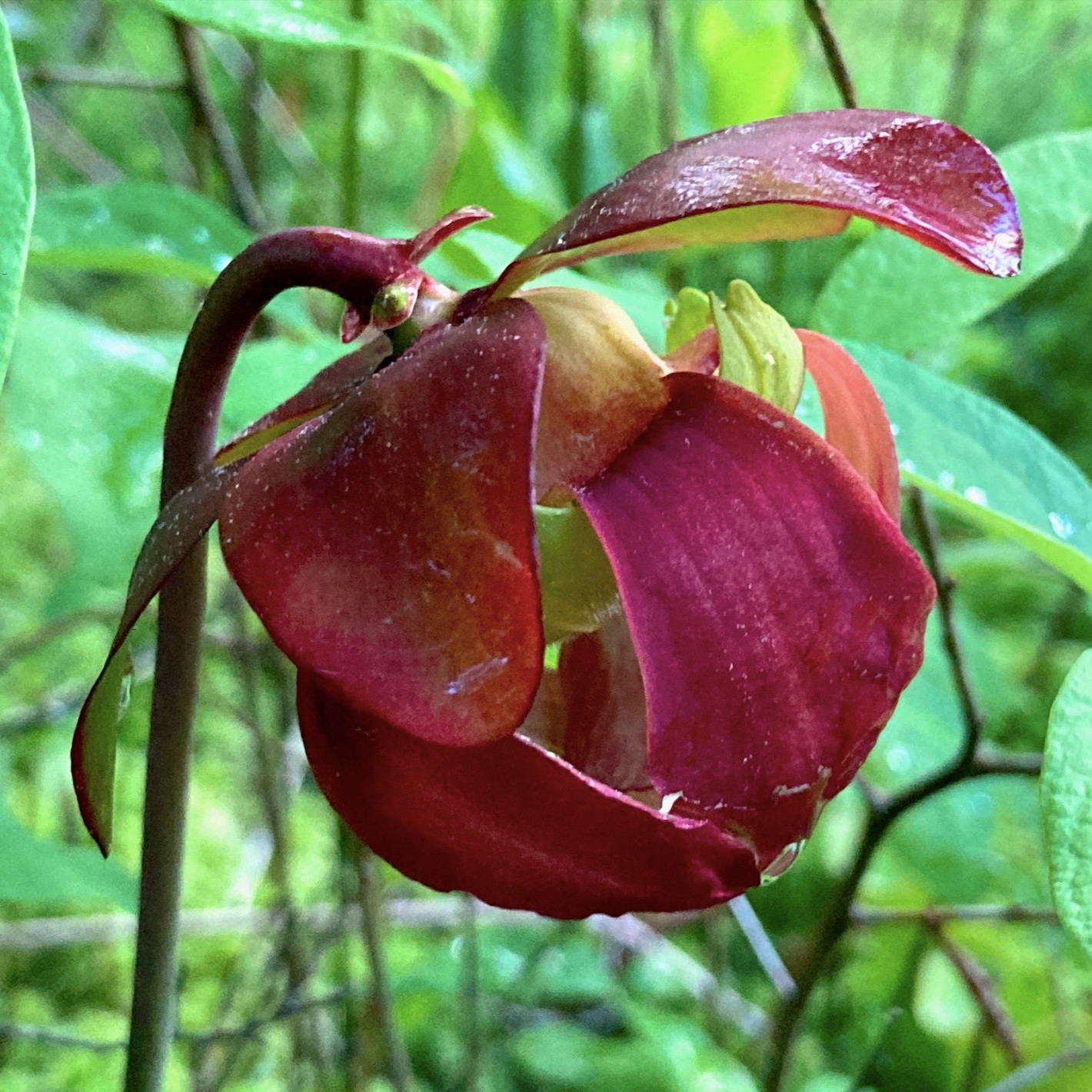 Yet Another Unitarian Universalist – A postmodern heretic's spiritual ...